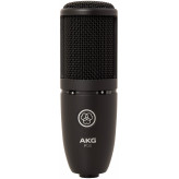AKG P120