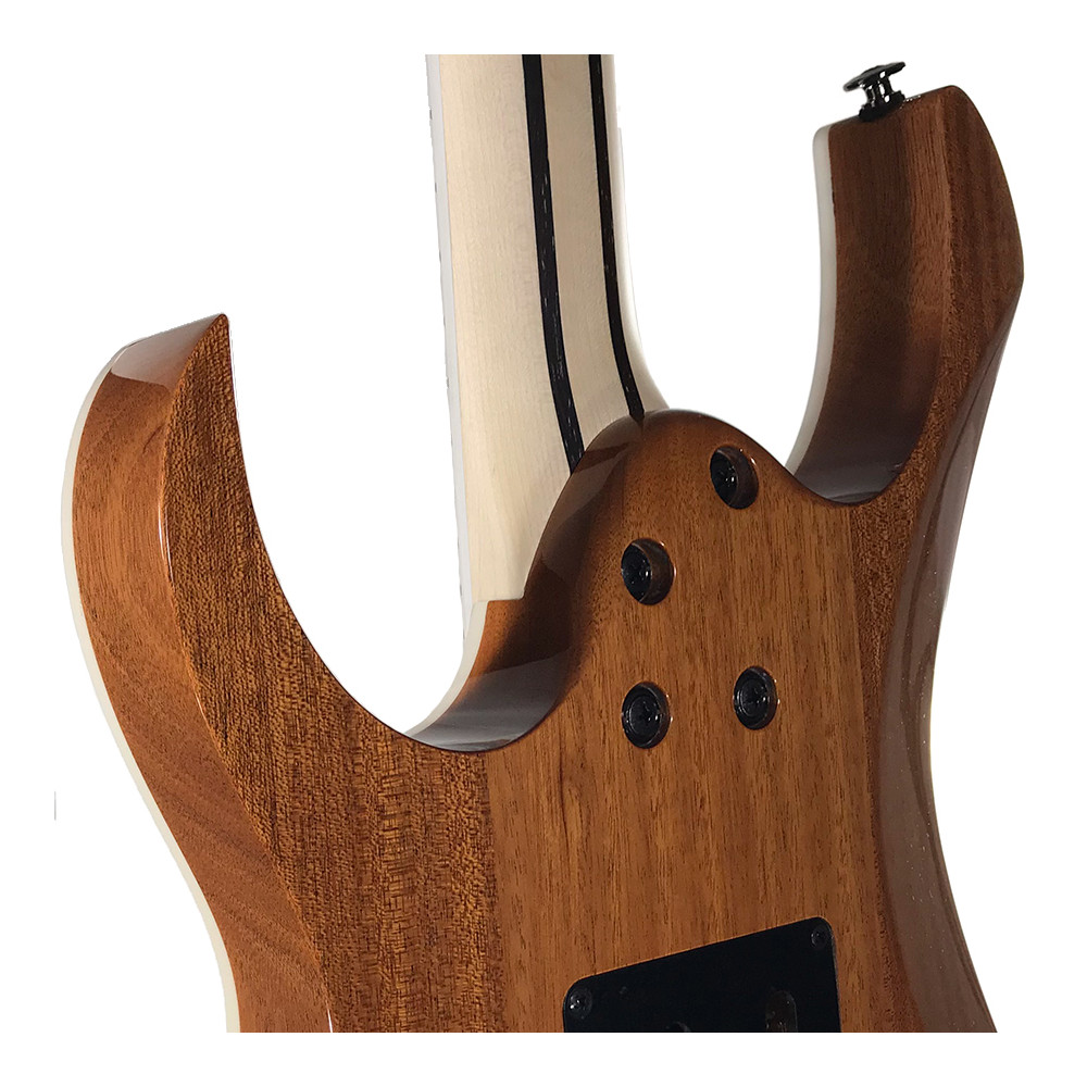 Ibanez RG5320-CSW - AudioWorks.cz - Hudební nástroje